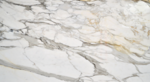 Natural Stone - Colosseum Stone Gallery