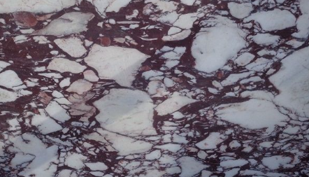 Calacatta Viola - Colosseum Stone Gallery