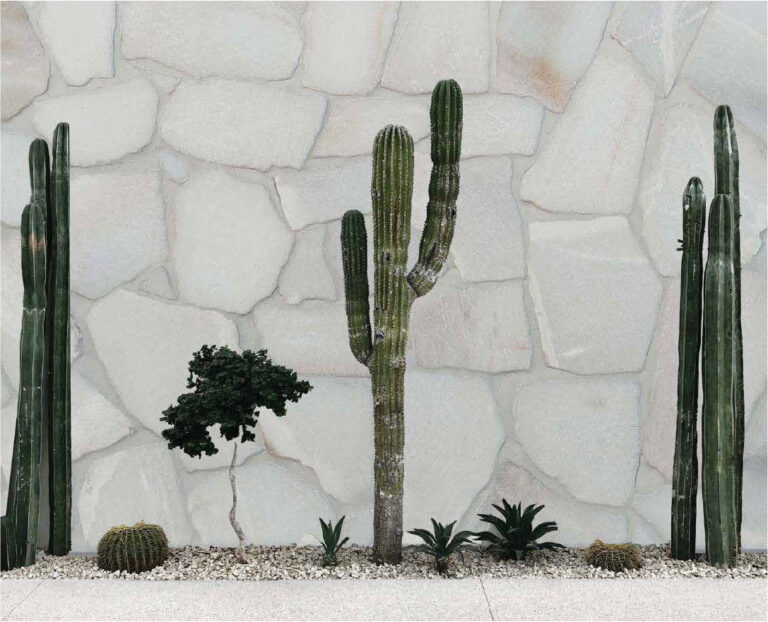 Stone Wall Cladding - Colosseum Stone Gallery