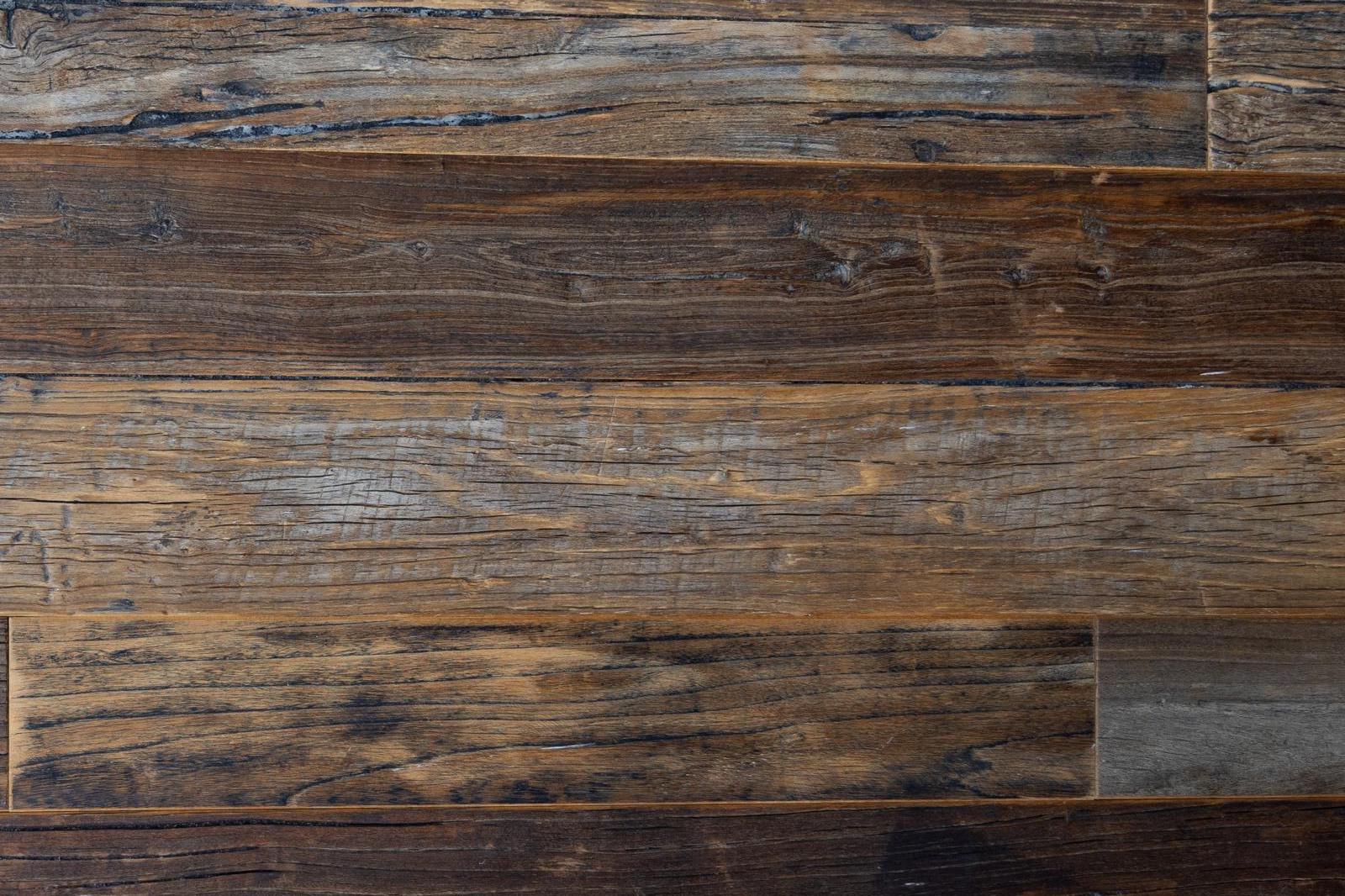 OLD ELM - Colosseum Stone Gallery